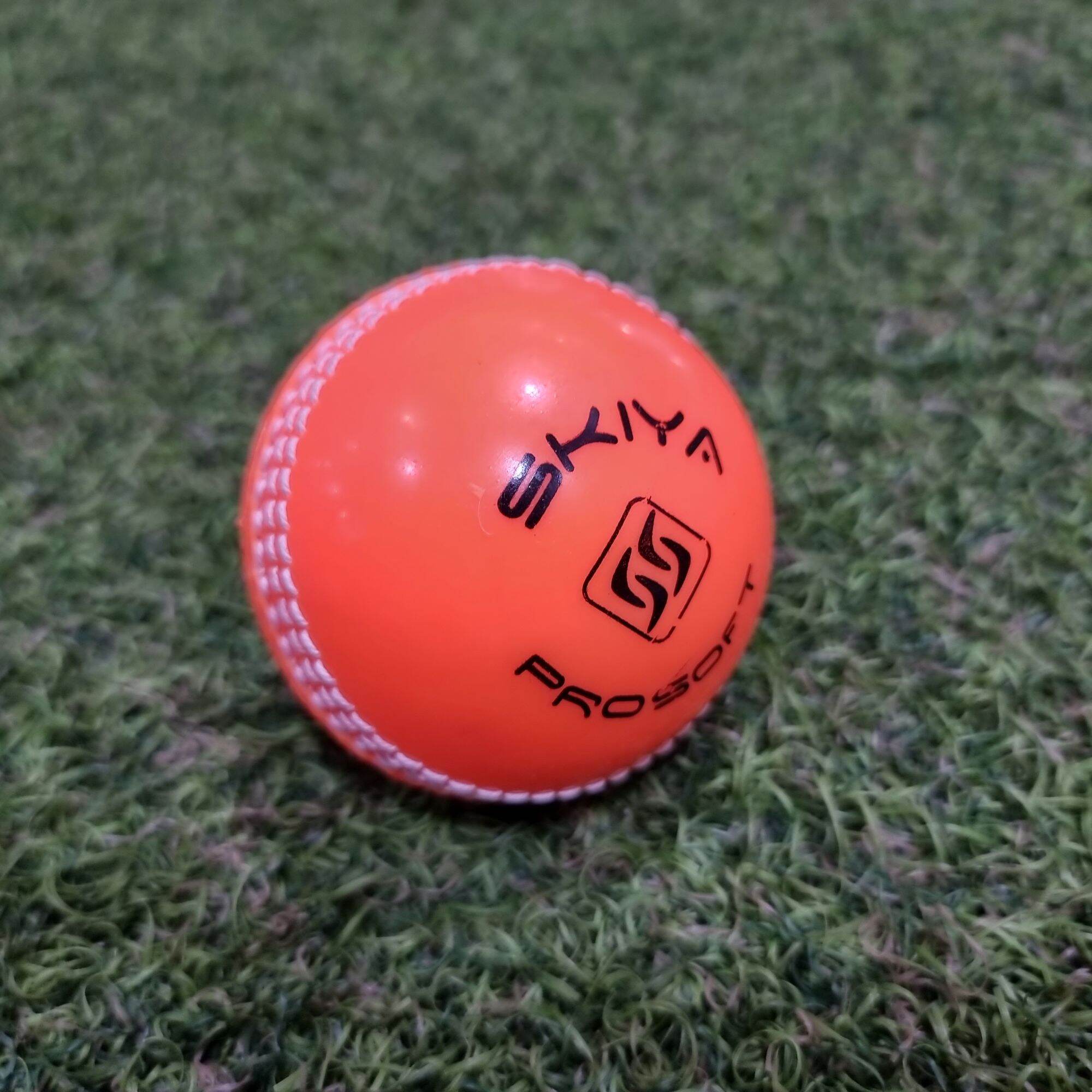 Prosoft Indoor Cricket Ball | Lazada Singapore