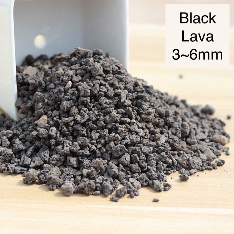 READY STOCK l 1kg l Black / Red Volcanic Lava Rock Stone Aquarium AquaScape Landscape Planting ...