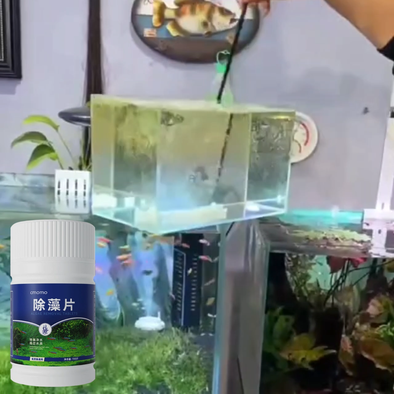1 tablet per 10kg water algae remover for aquarium 150 tablets ...