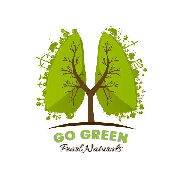 Treezy Trends Official Store in Singapore, Online Shop 12 2024