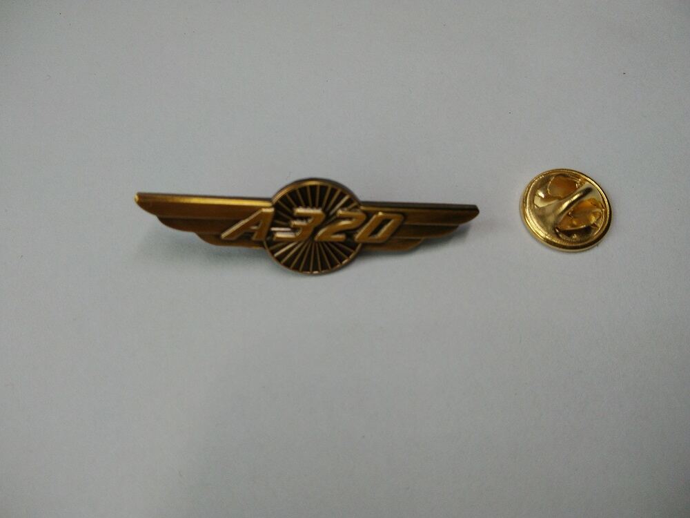 Boeing Boeing Airbus A330 380 737 747 777 787 Captain Flight Attendant ...