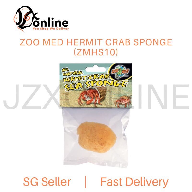 Zoo med delicate Hermit Crab Sponge