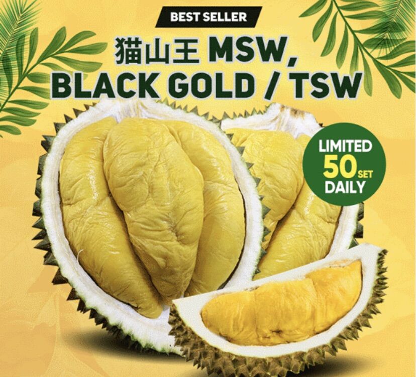 [TOP DURIAN] 400G DURIAN - TUPAI KING | Lazada Singapore