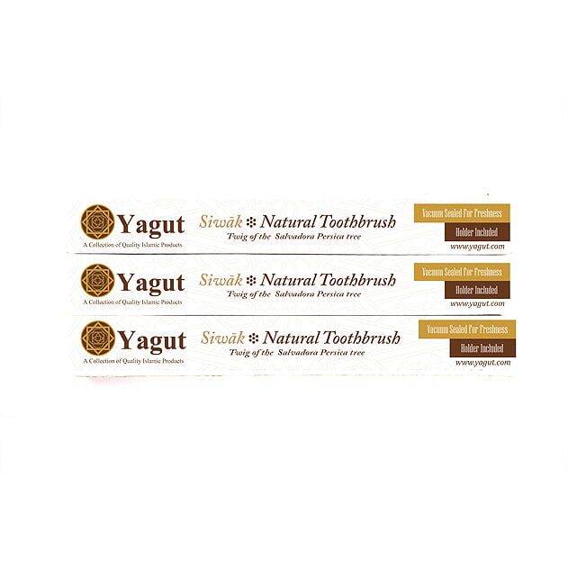Siwak / Miswak Stick: Twig of Salvadora persica tree (arak tree ...