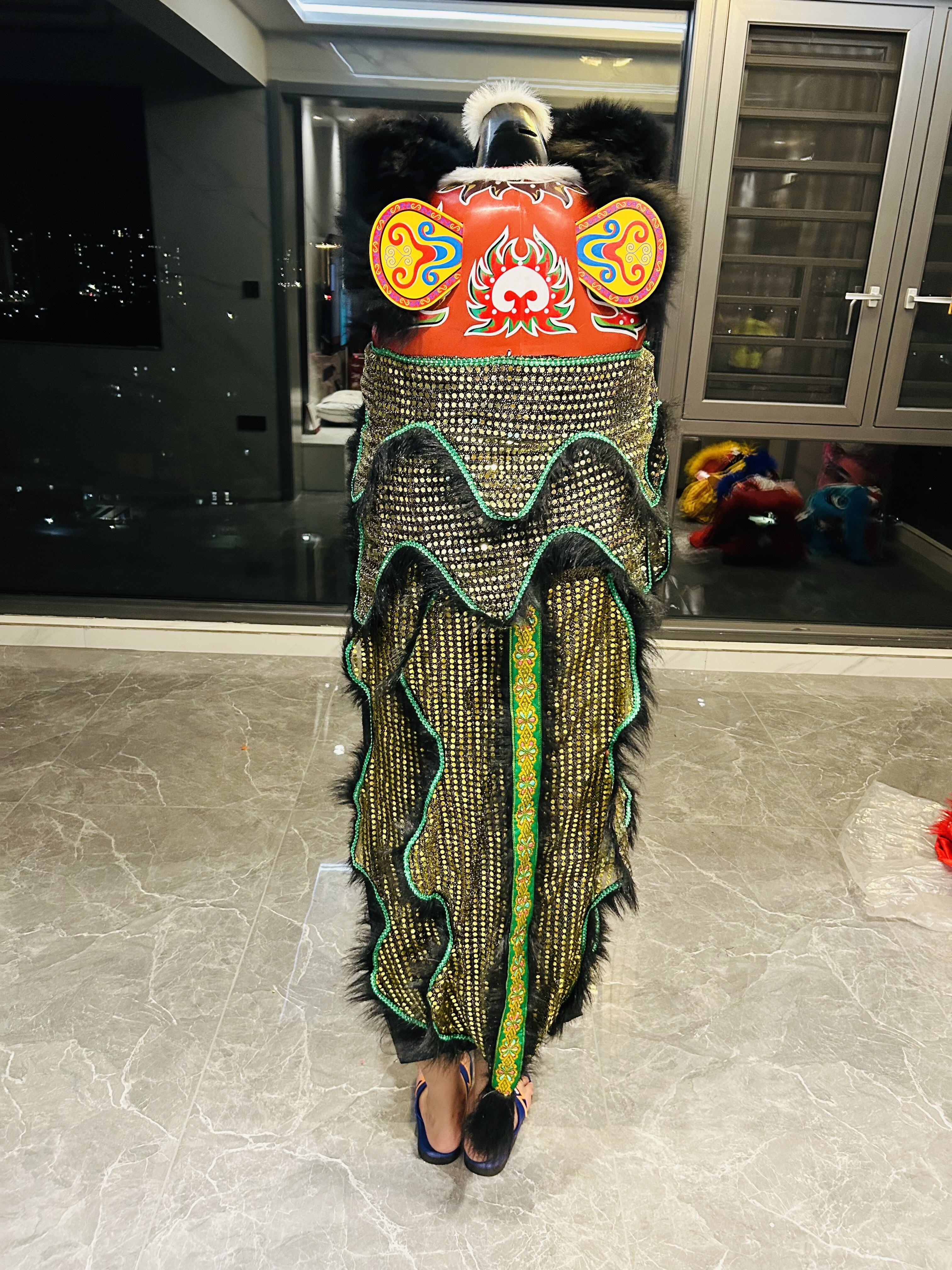 6-Inch 9-Inch Plastic Children's Lion Dance Wool Lion's Head Small ...