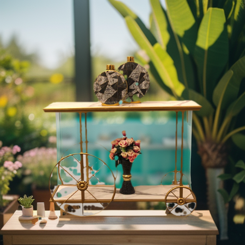 Cycle Console Table | Daraz.pk