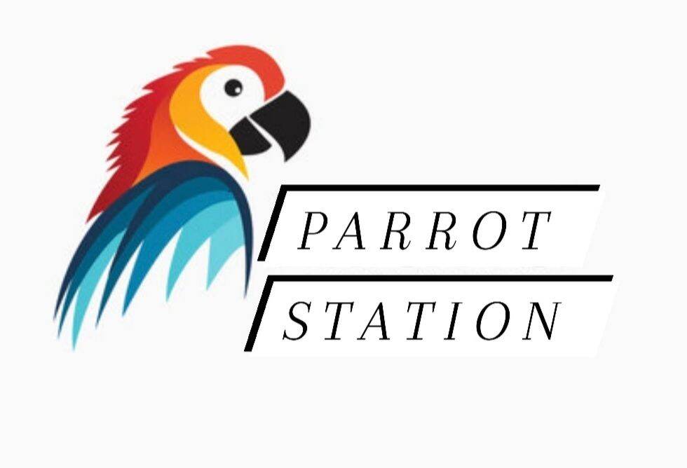 parrot station 2018 Official Store in Singapore, Online Shop 04 2025