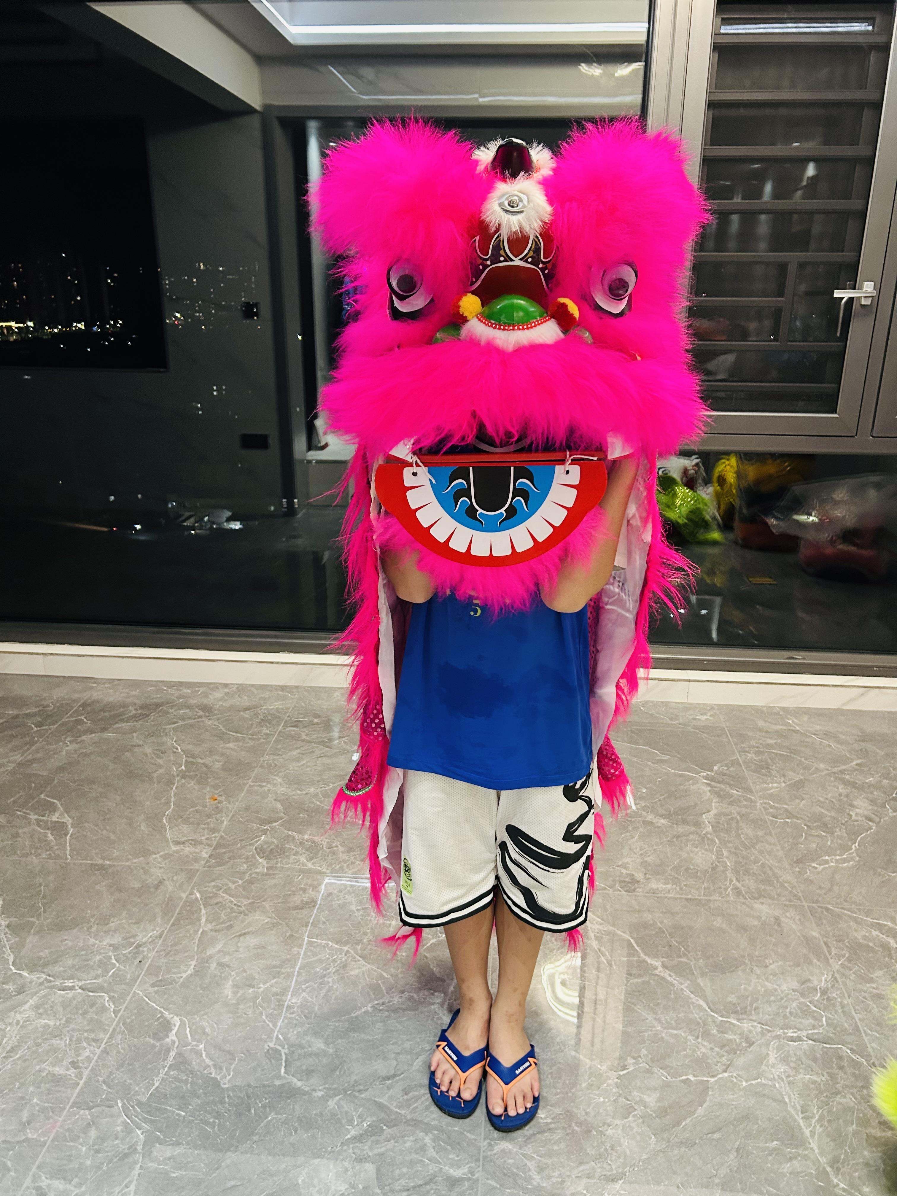 /9 Lion Lion Dance Supplies Head Toy Inch Dance Foshan 6 Children Lion ...