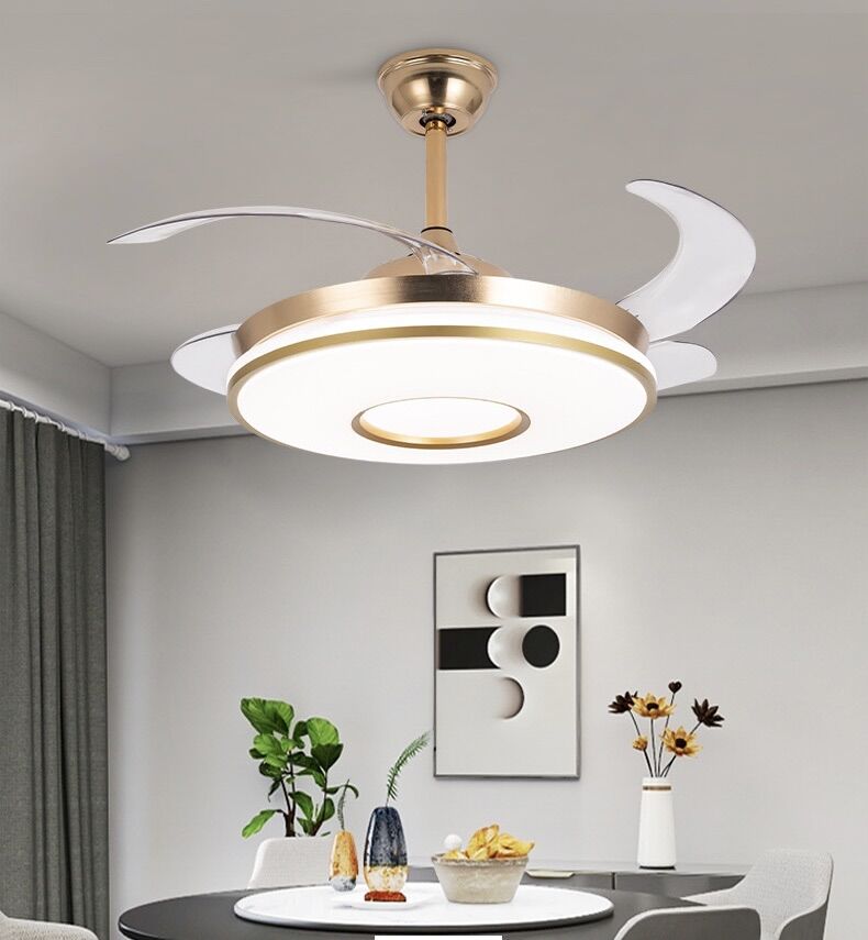 Hidden Ceiling Fan Blades | Shelly Lighting