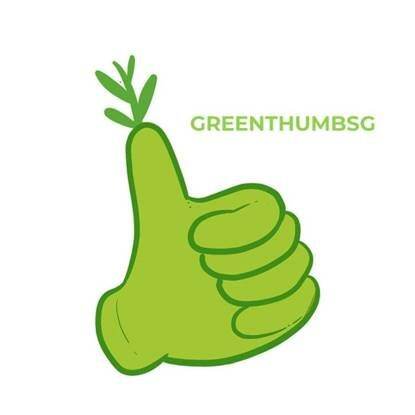 Green Thumb SG Singapore Official Online Store | Shop Now on Lazada