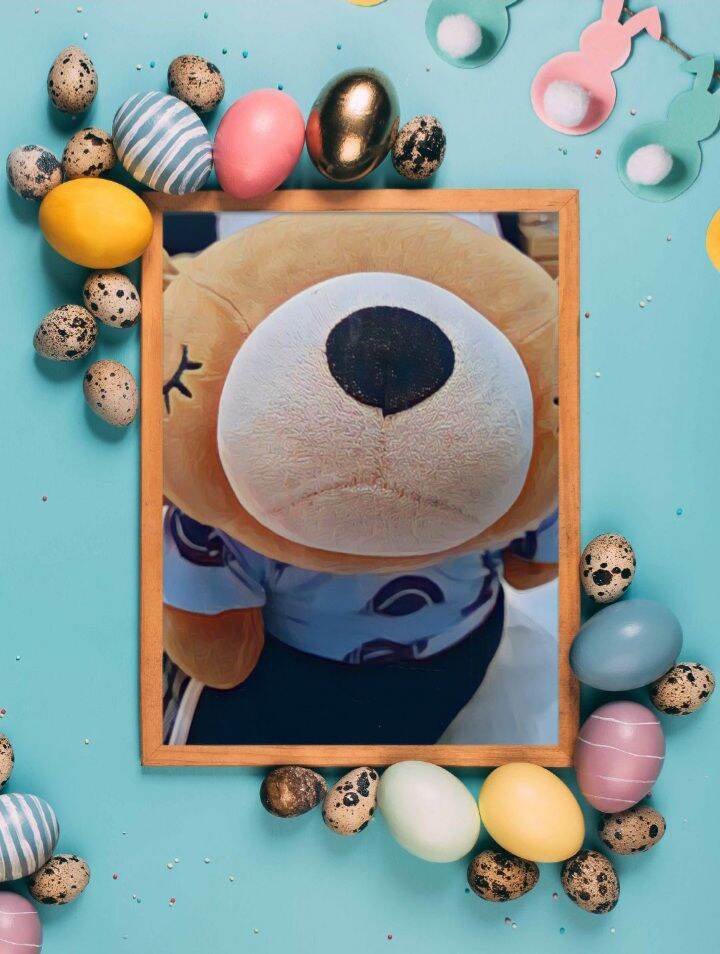 Bobo&Chacha Singapore Official Online Store | Shop Now on Lazada