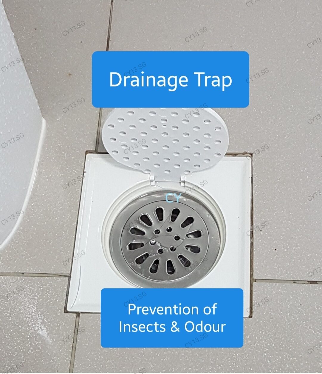 Drainage Trap for Standard HDB Big Plastic Drainage | Lazada Singapore