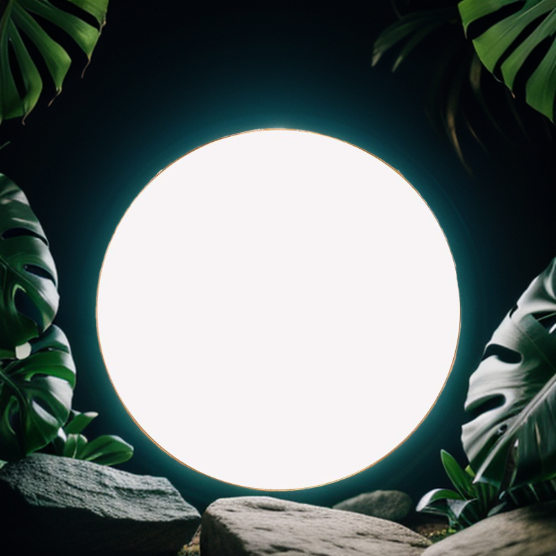 Round Wall Mirror with Stunning Border Golden Elegance | Daraz.pk